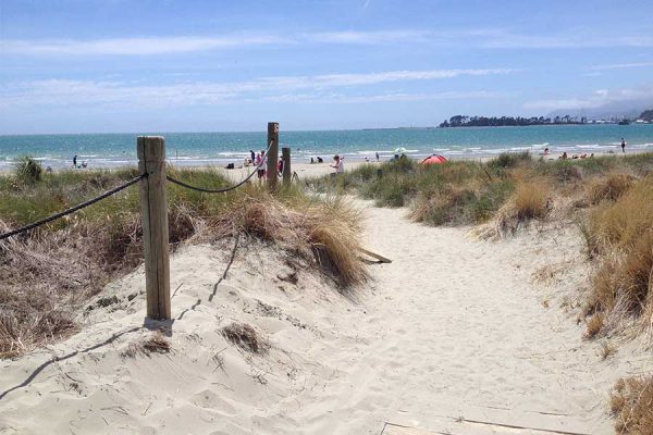 Hotel Accommodation Nelson, NZ | The Beachcomber Hotel